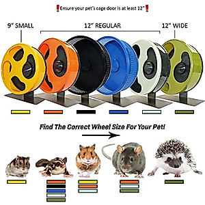 Silent Runner 9" + Sandy Track + Cage Attachment - Pet Exercise Wheel Package Set - for Robo Hamsters, Syrian Hamsters, Teddy Bear Hamsters, Dwarf Hamsters, Gerbils, Mice and Other Small Pets