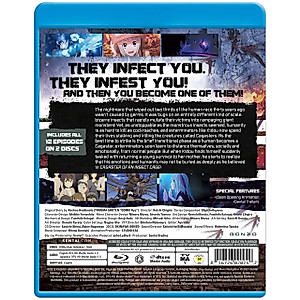 CAGASTER OF AN INSECT CAGE