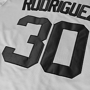 The Sandlot Benny The Jet Rodriguez Michael Squints Palledorous Alan Yeah-Yeah McClennan Bel Air 3D Print Baseball Jersey (XXX-Large, 30-Grey)