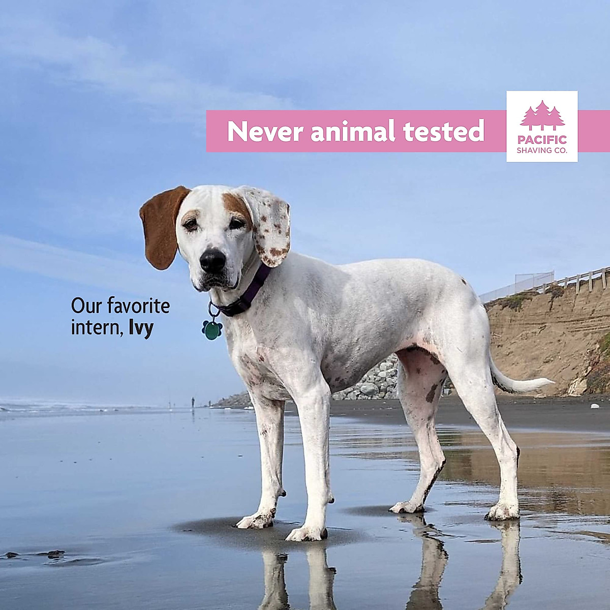 Pacific Shaving Company PINK Shaving Cream - Shave with Purpose - Safe & Natural Ingredients, Cruelty Free, Made in the USA - Pack of 2 (7 oz each)