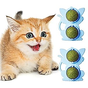 Catnip Balls for Cats Wall Catnip Ball Toy, 2 Pack Edible Cat Nip Ball Double Ball for Cats Chew Toy, Rotatable Interactive Cat Kitten Toys of Indoor Cats for Teeth Cleaning & Soothe the Mood (Blue)