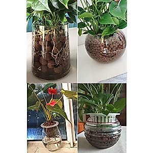 11LB Organic Expanded Clay Pebbles,for Soil Hydroponic Rocks Orchids,Indoor Plants,Succulents (11)