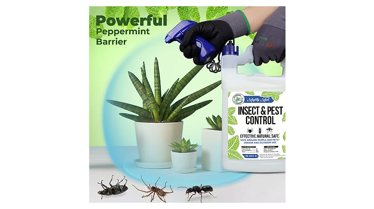 Natural Pest Control with Mighty Mint Gallon Peppermint Oil