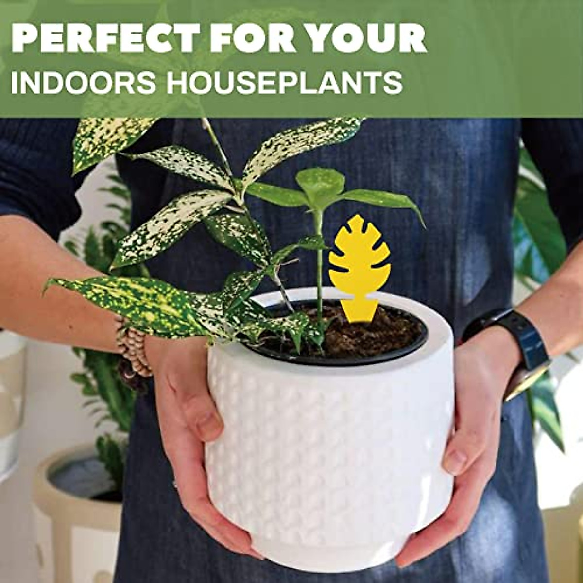 30 Pcs Yellow Sticky Trap for Indoor Gnats Dual Sided by Grow Margo - Fruit Fly Traps for Indoors - Plant Sticky Traps for Gnats - Plant Gnat Stix - Plant Fly Sticky Trap Sticks