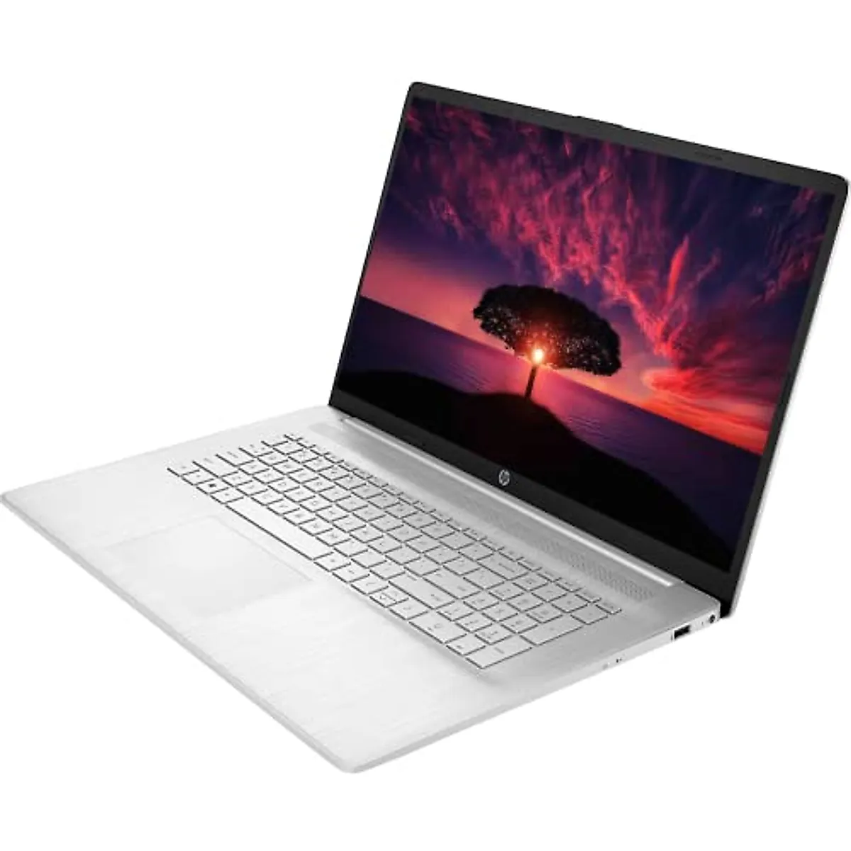HP [Windows 11 Pro] 17.3" HD Touchscreen Business Laptop, AMD Ryzen 5-5500U, 32GB RAM, 1TB SSD, HDMI, WiFi, Type-C, Full-Size Keyboard, Numeric Keypad, Long Battery Life, USB Business Card