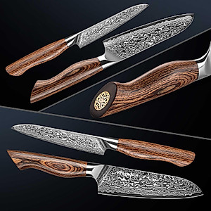 KINGOD 5 Inch Santoku Knife - Japanese VG10 Steel Core - Ultra Sharp Blade - Ergonomic Wooden Handle - Kitchen Essentials