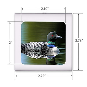 Plug in Dimmable LED Night Light with Dusk to Dawn Auto Sensor, Adjustable Brightness, Warm Light, Auto On-Off Nightlight for Bathroom, Hallway, Nursery, Bedrooms - Loon