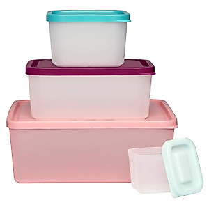 Bentology Snack Buddies - Mini Bento Snack Lunch Box w 4 Portion Control Meal Containers and Lids - BPA, PVC Free, Food Safe – On-the-Go lunchbox - Pink