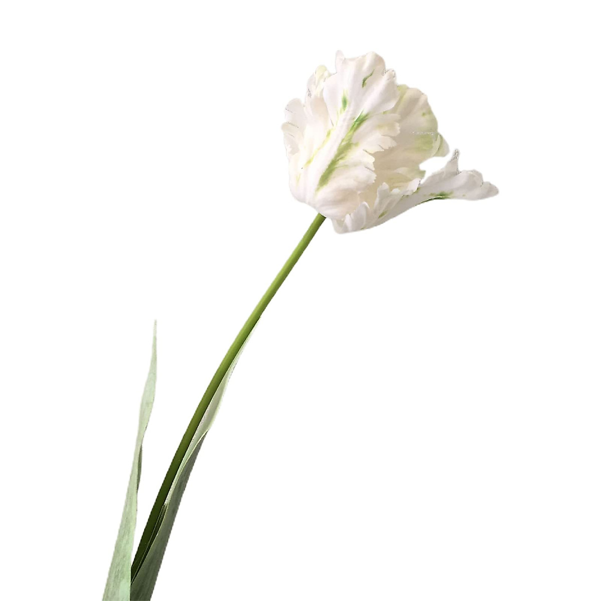 MISNODE 3PCS Artificial Parrot Tulip Flower Stems, White 27 Inch Parrot Tulip Bouquet, Single Head Silk Tulips Flower Branches for Wedding Bridal Bouquet Party Home Garden Decor