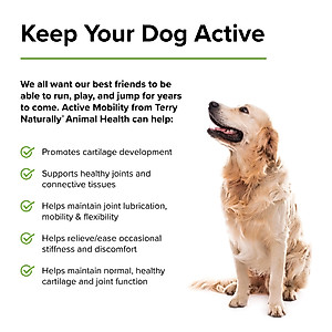Terry Naturally Animal Health Active Mobility - 60 Beef-Flavored Chewable Tablets - Supports Joint Health with Glucosamine, Chondroitin & Collagen - Canine Only - 60 Servings