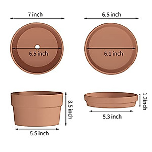 Fcacti 7 Inch Terracotta Shallow Succulent Pot with Saucer/Tray - 2 Pack Large Terra Cotta Clay Pots with Drainage Hole, Round Shallow Terra-Cotta Bonsai Pot for Indoor/Outdoor Plants