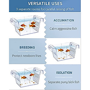 Pawfly Aquarium Fish Breeding Box Acrylic Hatchery Incubator Tank with Suction Cups Medium Isolation Box for Baby Fish Shrimp Betta and Guppy