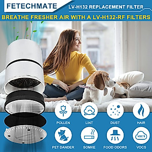 LV-H132 Replacement Filter