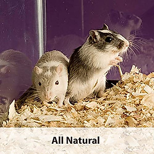 Kaytee Aspen Small Pet Bedding, 226.5 Liters