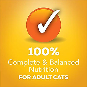 Purina Friskies Gravy Wet Cat Food Variety Pack, Tasty Treasures Prime Filets