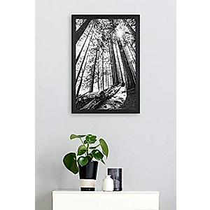 MCS Studio Gallery Frame, Black Woodgrain, 16 x 24 in, Single