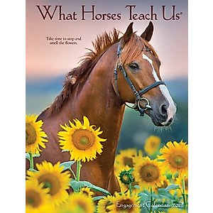 What Horses Teach Us 2021 Engagement Calendar