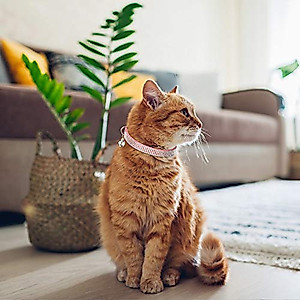 4 Pieces Rhinestone Cat Collar Heart Bling Breakaway Cat Collar Valentine's Day Cat Collar Soft Velvet Collar with Rhinestone Love Heart Adjustable Safety Cat Collar with Bell for Kitty (Pink, Purple)