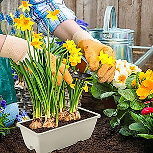 12 Pieces Rectangle Window Box Planter 17 Inch Window Plant Box Herb Planter Plastic Herb Pots for Indoor Plants Large Window Flower Boxes Outdoor with Tray for Garden, Balcony Home Decor (Light Gray)