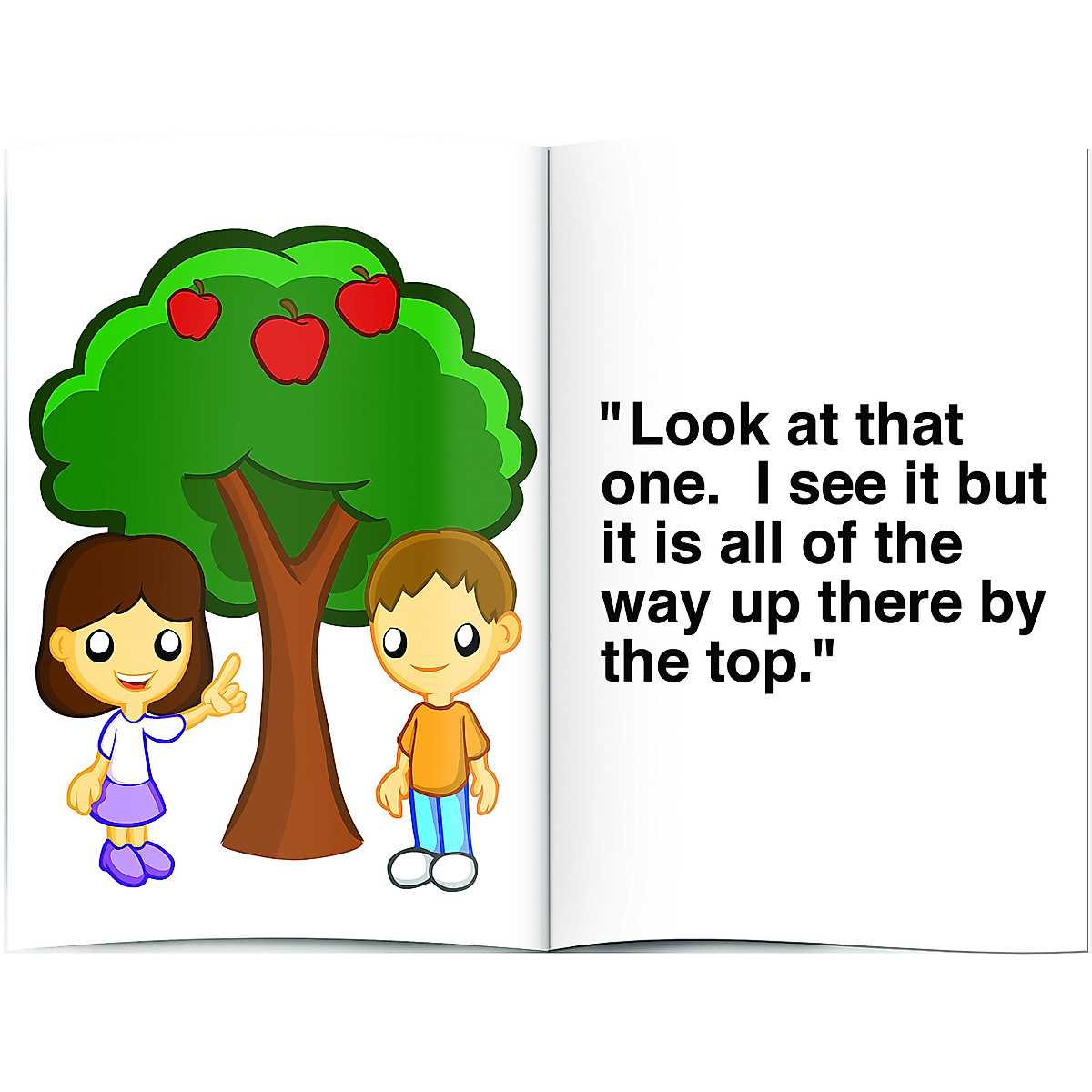 Meet the Sight Words - Level 3 - Easy Reader Books (boxed set of 12 books)