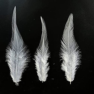 Happy Feather 100PCS Saddle Hackle Rooster Feather for Crafts, 5-7 inch Natural Pheasant Neck Feathers DIY Pendant Earrings Dream Catcher-White