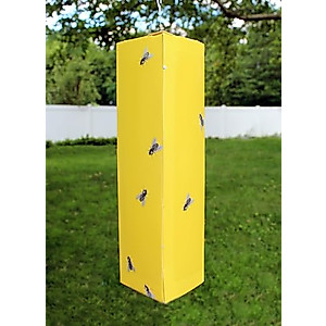 Pic FSTIK-2 Fly Traps, yellow