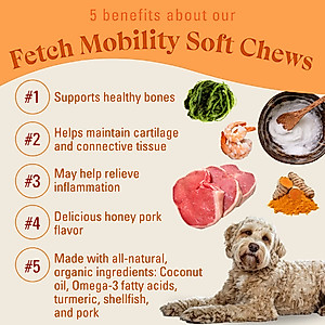 Soft Chew Multivitamin for Dogs - Mobility Focus | Joint Support and Cartilage Supplement for Dogs, Glucosamine HCl, Chondroitin Sulfate, and Curcumin | OTIS Healthy Dog Treats | 90 Counts, 9.52 oz