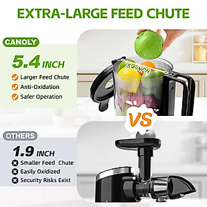 Cold Press Juicer, 5.4" Extra Large Feed Chute Fit Whole Fruits & Vegetables, 350W Professional Slow Masticating Juicer Machines, Easy to Clean