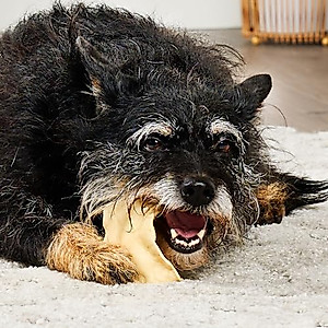 Treatly USA Collagen Chips Assorted Dog Chew Treats - Natural Flavor, 14oz/1 Pack