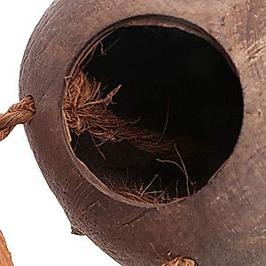 Bird Nest for Parakeets Naturals Coco Parrot Breeding Box Lovebird House Cage Play Hanging Toy with Ladder for Budgies Parakeet Cockatiels Conure Canary Finch Pigeon