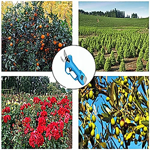 TURKAS Cordless Pruning Shears, Electric Pruner with Brushless Motor, 16.8V Lithium Battery, SK5 Blades, Secateurs 1.1 Inch Cutting Diameter, Trimmers for Fruit Tree Branches/Garden