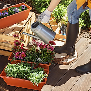 Dandat 24 Pack Window Box Planter Plastic Planter Boxes 17 Inches Vegetable Planters Rectangle Flower Pots with Drainage Holes and Trays for Indoor Outdoor Garden Patio Home Decor (Red)