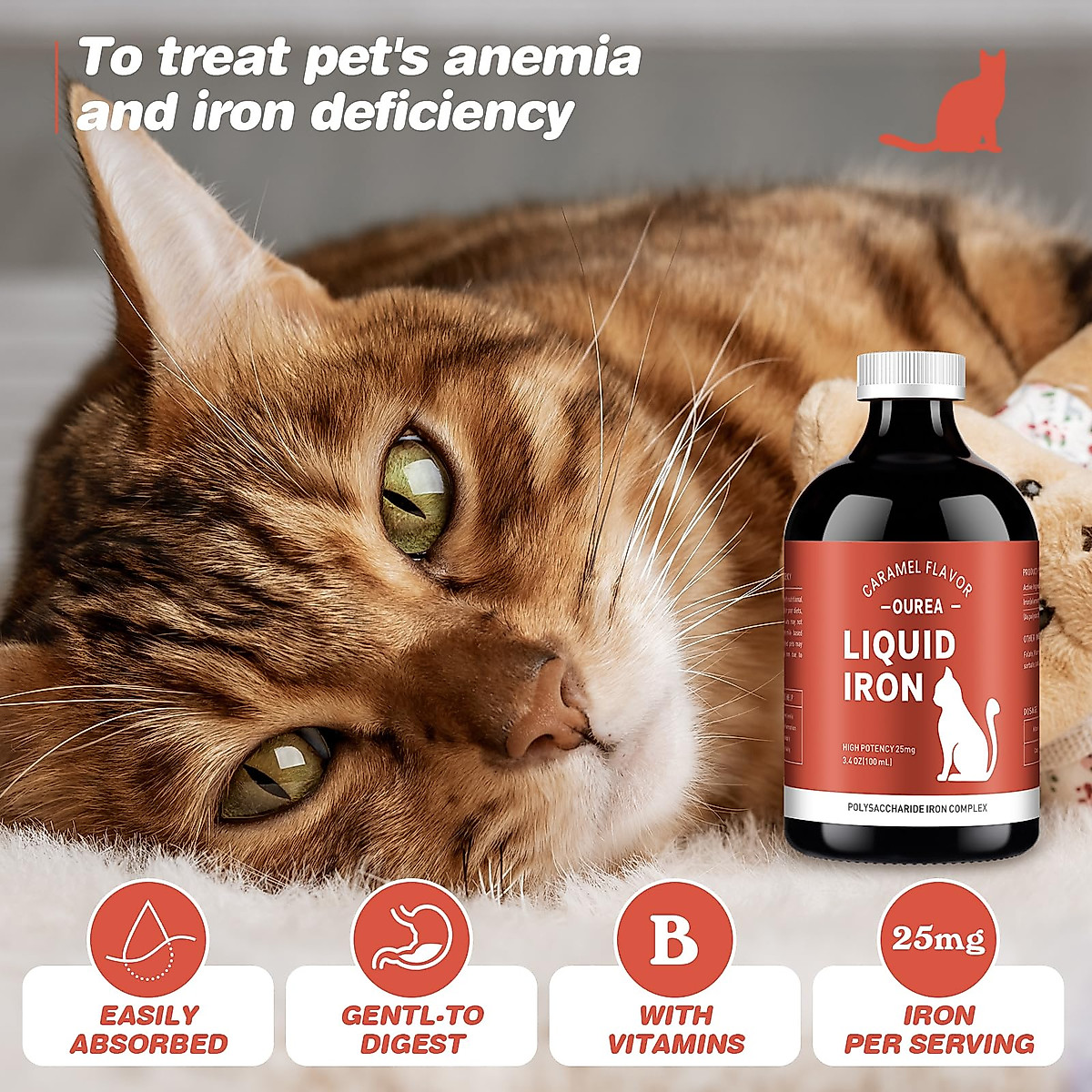 Iron Supplements for Cats-Liquid Iron Supplement for Anemia Cat-Polysaccharide Iron Complex Supports for Anemia in Cats Blood Health and Addresses Nutritional Deficiencies-Cat Care Essentials