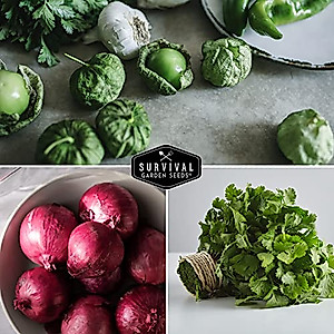 Survival Garden Seeds Salsa Collection Seed Vault - Tomatillo, Tomato, Onion, Jalapeño, Cilantro - Non-GMO Heirloom Seeds for Planting - Grow Vegetables at Home