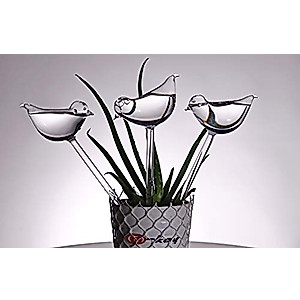Durable glass Bird Design Watering globes - 3 pack Gift for gardeners, Her or Mom with 3 Water Bulbs, a Funnel + 3 spikes against dirt for Indoor Plants / Watering Bulbs, Water Globes, Home Decoration