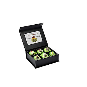 Creano Tea Flowers Mix 6pcs Set Blooming Tea Green Tea in Elegant Magnetic Box with Silver Embossing