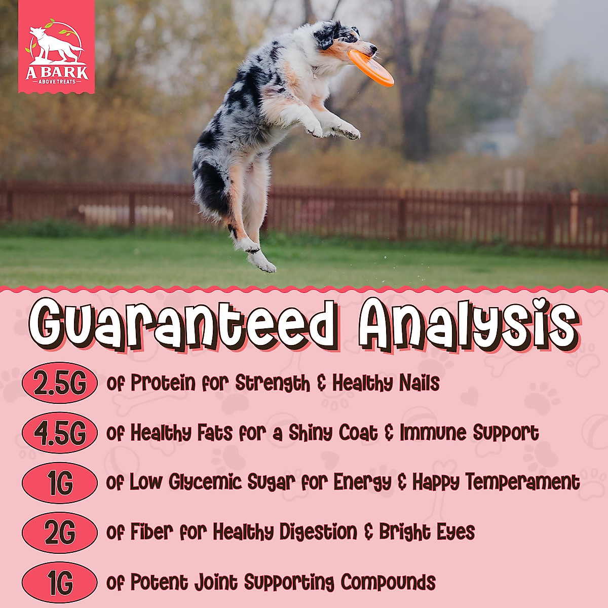 Zoomie Butter Hip & Joint Dog Peanut Butter Spread Supplement, All Natural Dog Treat. Human Grade & Safe Anti Inflammatory Puppy Food, Peanuts & Turmeric for Pain, Stiffness, Grown & Made in USA