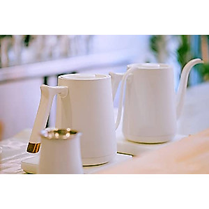 TIMEMORE Fish Electric Gooseneck Kettle, for Hand Drip Pour-Over Coffee Brewing, Precise Temp Adjust and Hold Setting, Quick Boil, Accurate Drip Stream, US 120V Version, 0.6L, Black