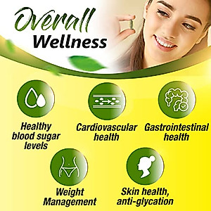 LABO Nutrition Mulbiotic Capsule, Organic Mulberry Leaf Extract + LactoSpore Probiotic & Fenumannan Prebiotic, for Healthy Blood Glucose Leval, Sugar & Carb Cravings Support, Vegetarian, Non-GMO