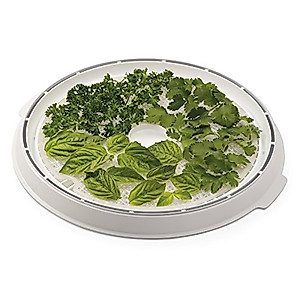 Presto 06307 Dehydro Electric Food Dehydrator Nonstick Mesh Screens, White, 11.5 Inch