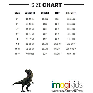 Jurassic World Jurassic Park Little Boys Fleece Pullover Hoodie and Pants Outfit Set Camo Black/Green 7-8