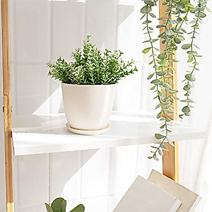 Mkono 4.5" Plastic Succulent Planters with Saucers, Indoor Set of 5 Nursery Pots Modern Flower Plant Pot with Drainage for All Small House Plants, Herbs, Foliage Plant, and Seedling, Cream White