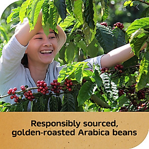 NESCAFÉ Gold Espresso Blonde, Instant Coffee, 3.5 oz