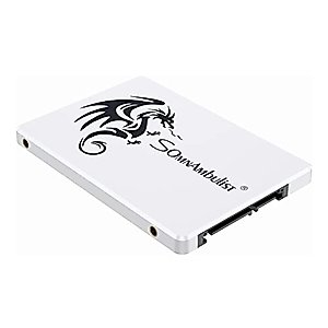 Somnambulist 2tb 120gb sata ssd Disk Built-in Hard Drive Suitable for Desktop Notebook Computers 960gb 240gb 60gb 480gb (White Dragon 60GB)