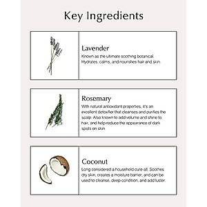 John Masters Organics | Daily Nourishing Shampoo with Lavender & Rosemary | USDA Organic | Purify Scalp | Sulfate Free | Clean Haircare 16 oz.