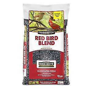 Pennington Pride Red Bird Blend Wild Bird Seed, 10 lb