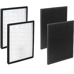 Fette Filter -HSP001 Filter Replacements for HATHASPACE Air Purifier HSP001, True HEPA Filter with Activated Carbon Pre-Filters. Includes 2 H13 True Hepa FIlters and 2 Activated Carbon Filters.
