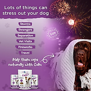 Vital Planet - Calm Chewable Tablets for Dogs, Promotes Calmness in Stressful Situations with Valerian, Lemon Balm, Chamomile, GABA, L-Theanine and Natural Herbs - 60 Beef Flavored Chewable Tablets