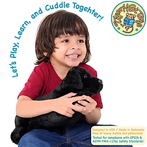 TigerHart Blythe The Black Lab - 12 Inch Stuffed Animal Plush