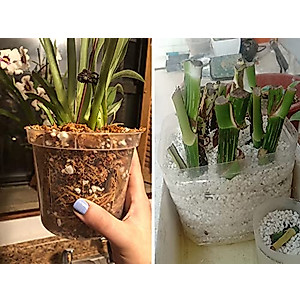 15 QT Professional Grade Horticultural Organic Perlite (15 QT, Perlite)